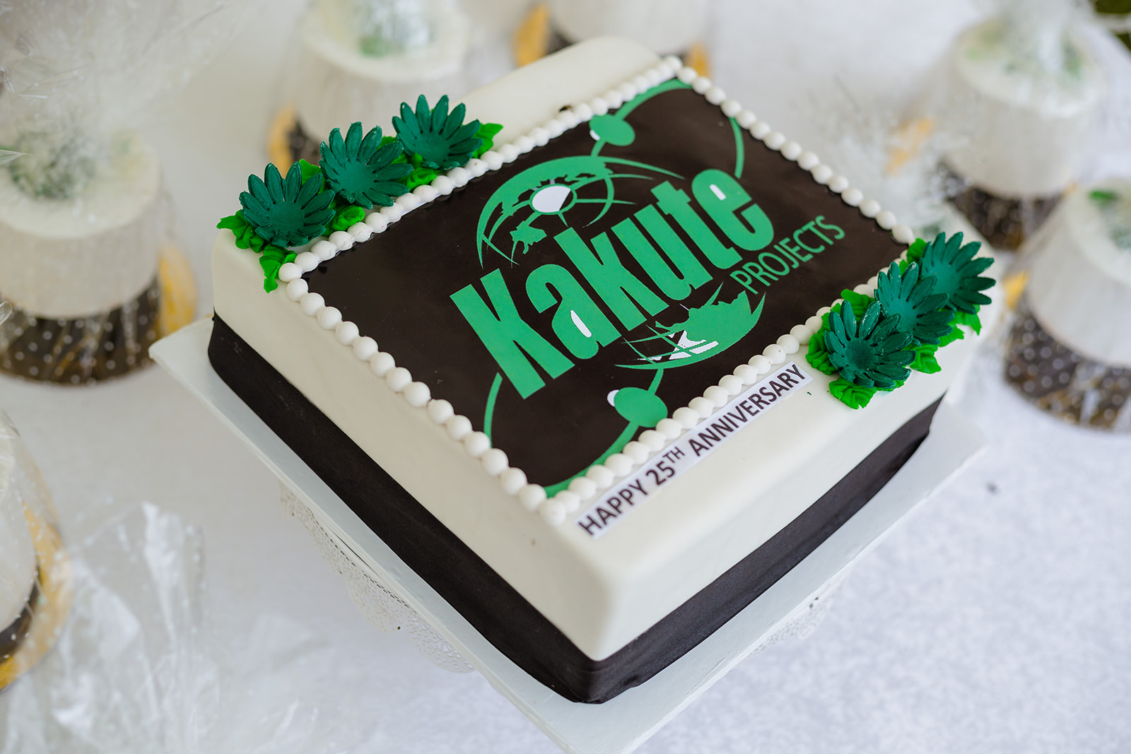 Gallery – KAKUTE PROJECTS