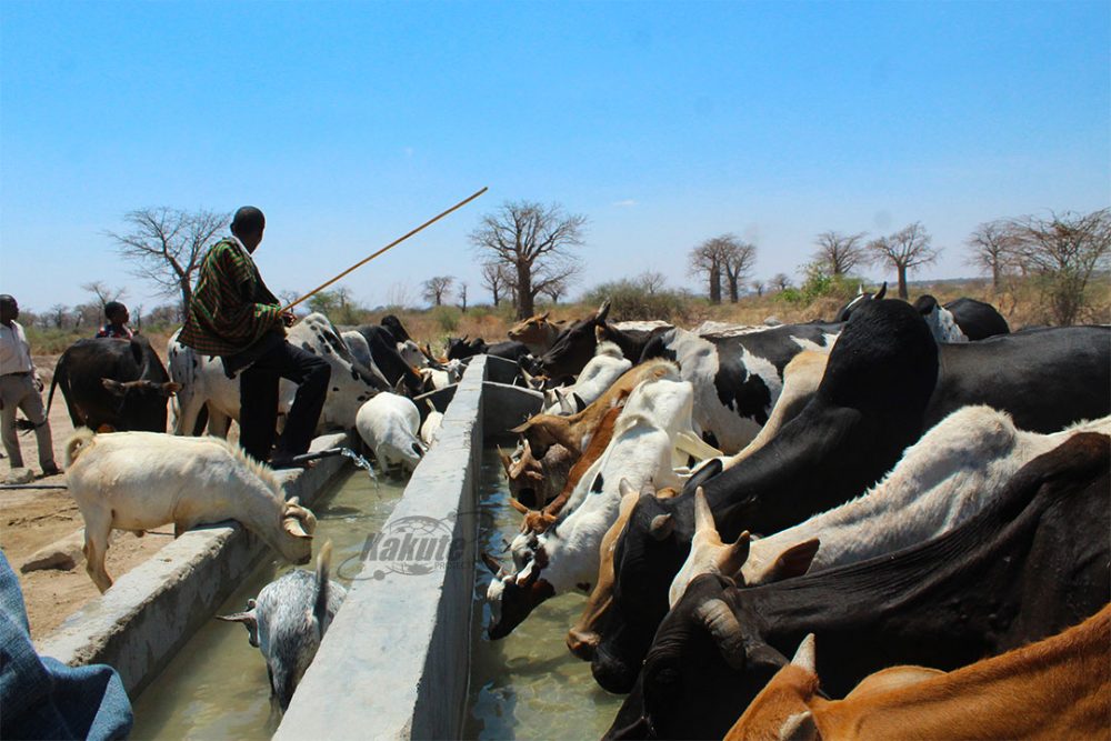 Transforming Rural Tanzania with Solar Power for Sustainable ...